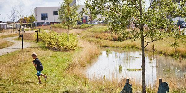 Denmark’s PKA stows €160m in Hedehusene suburban development | News ...