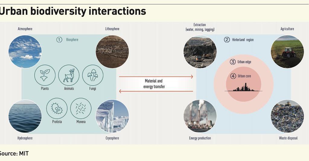 Guest view: Biodiversity, city zones and the biosphere | Special ...
