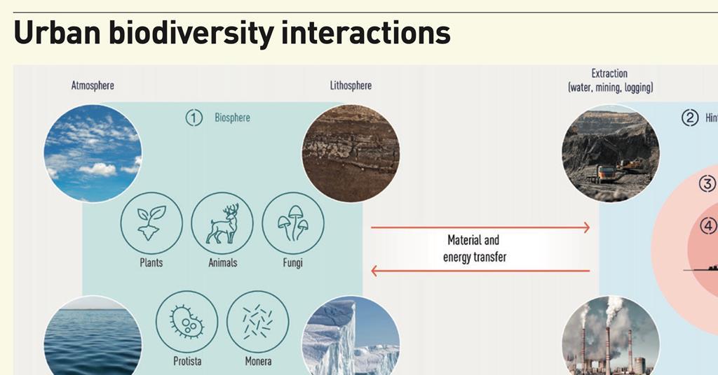 Guest view: Biodiversity, city zones and the biosphere | Special ...