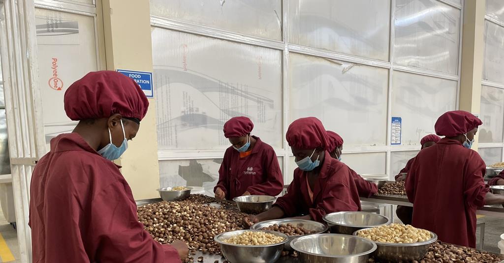 Mirova fully deploys sustainable land fund, targets €350m for successor ...