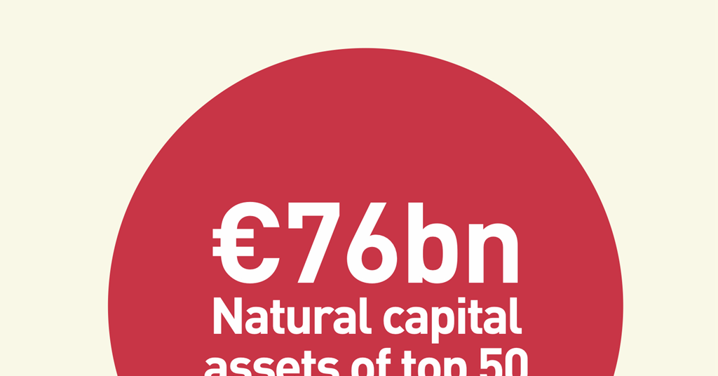 Top 50 natural capital investors 2025: Fertile asset class | Special ...