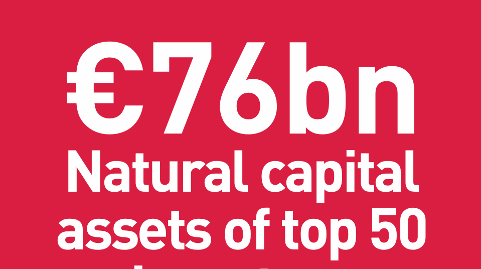 Top 50 natural capital investors 2025: Fertile asset class | Special ...