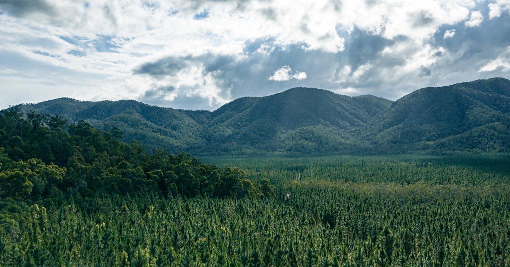 Natural capital: convergence of forestry and agriculture investment ...