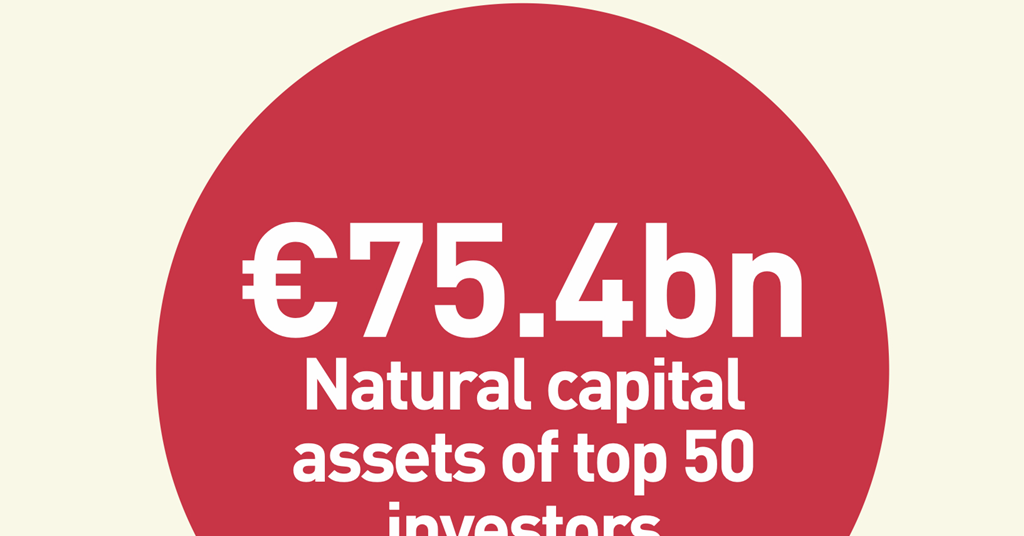 Top 50 natural capital investors 2025: Fertile asset class | Special ...