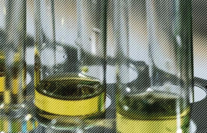 Spain’s ICO invests €15m in Spanish insurer Mapfre’s green biofuel fund ...