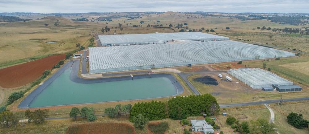 Centuria Agriculture Fund adds A$80m tomato glasshouse facility in ...