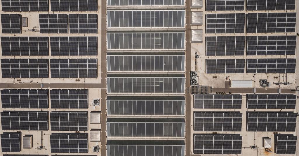 Tokyo Electric Power and Logos partner on rooftop solar PPA projects in ...