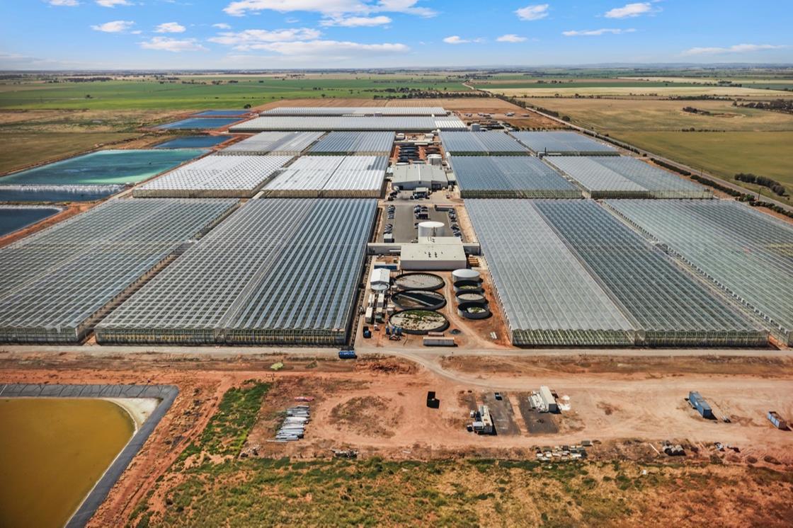 Centuria’s Australia agriculture fund acquires A$168m glasshouse | News ...