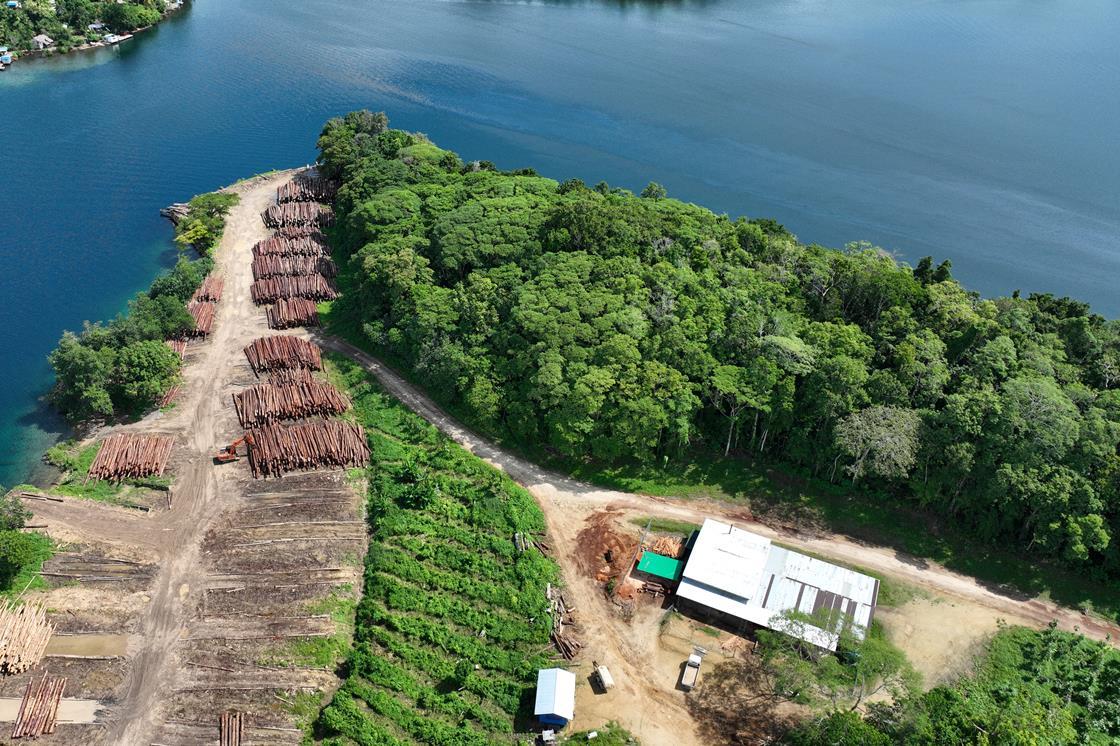New Forests invests in Solomon Islands’ largest sustainable forestry ...