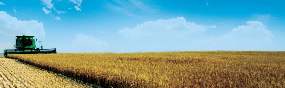 International Farming Corporation to raise initial $1.5bn for core fund ...