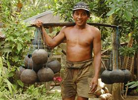 Mirova invests in Big Tree Farms to accelerate sustainable land use in ...